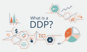 What is a Digital Diligence Platform (DDP)? - DiligenceVault